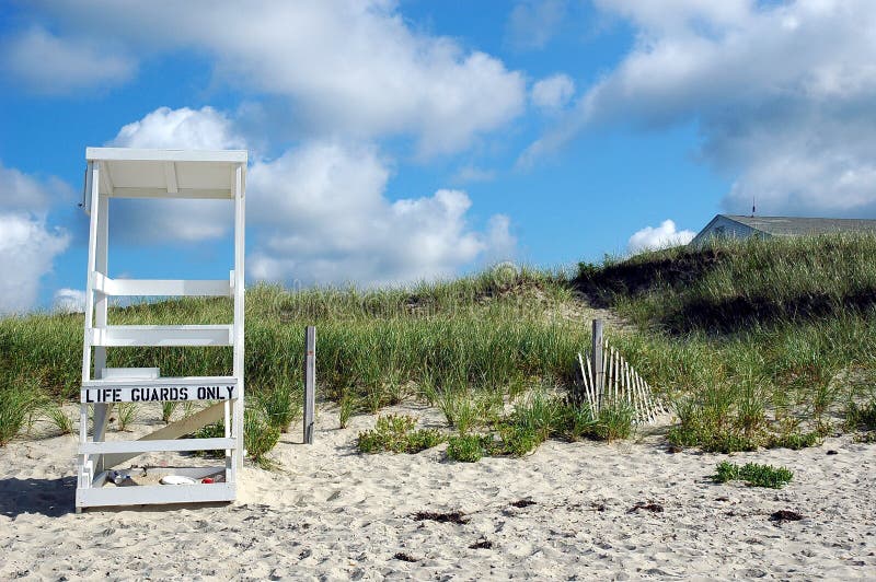 Cape Cod Beach stock photo. Image of coast, nature, massachusettes ...