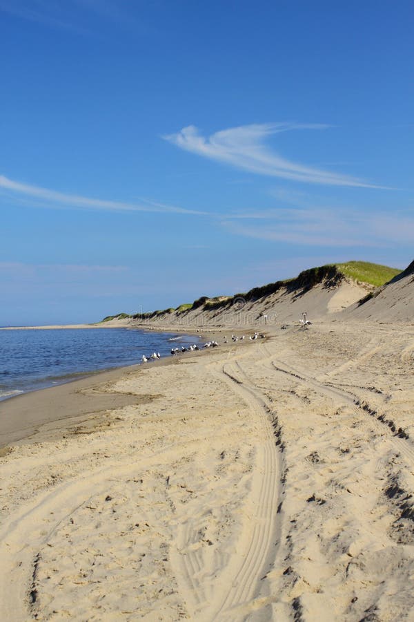 184 Cape Cod Beaches Photos - Free & Royalty-Free Stock Photos from ...