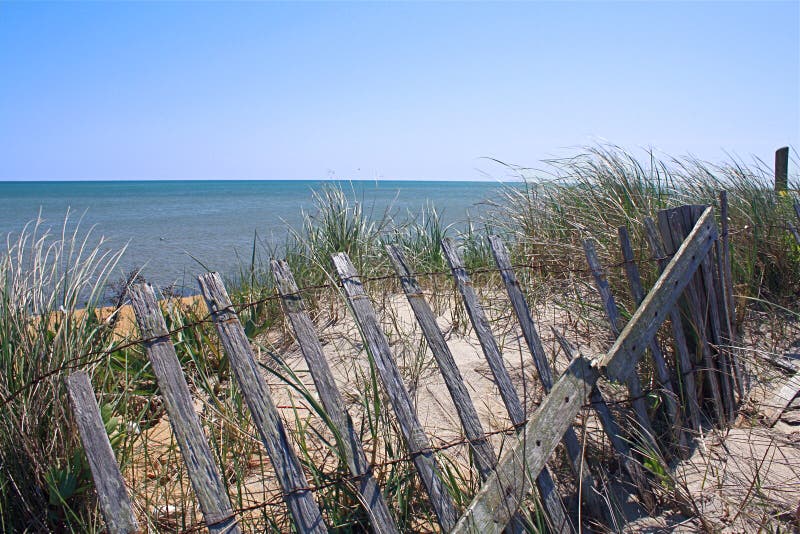 Cape Cod Beach Dune and Snow Fence Stock Photo - Image of dune, chatham ...