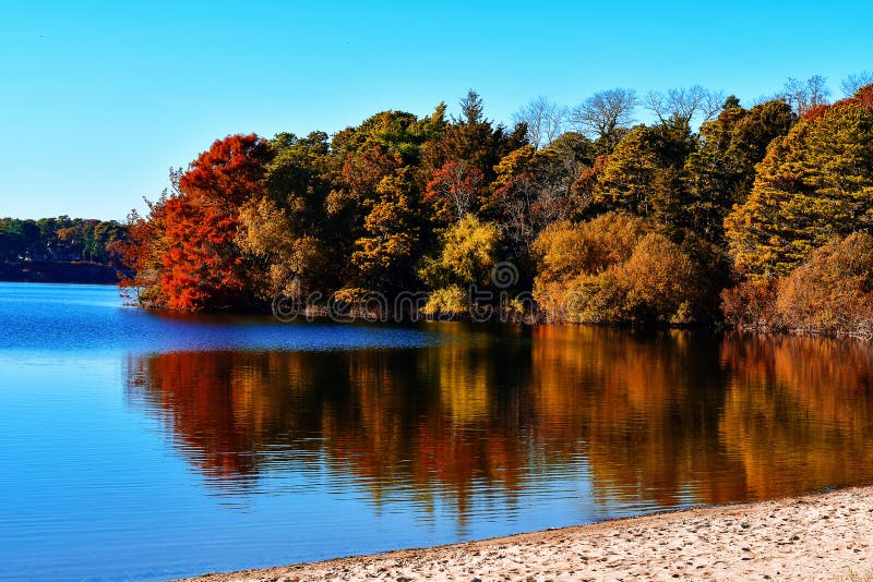 Cape Cod in the Fall stock photo. Image of colors, tree - 236689900