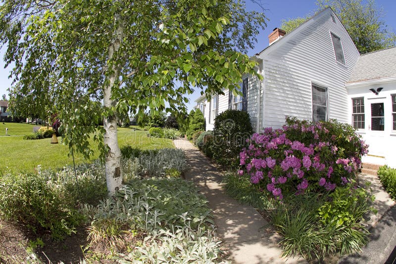 Cape Cod Home stock image. Image of siding, birdh, spring - 31243981