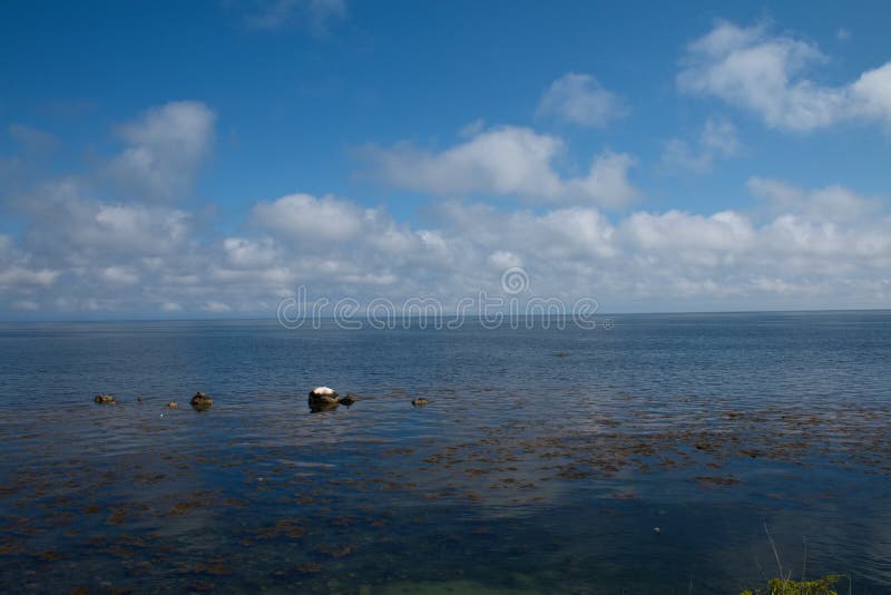 Cape Cod Massachusetts Beach Was by Ocean Stock Image - Image of light ...