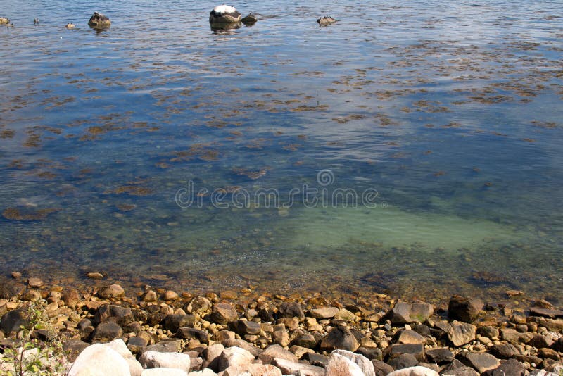 Cape Cod Massachusetts Beach Was by Ocean Stock Photo - Image of brown ...