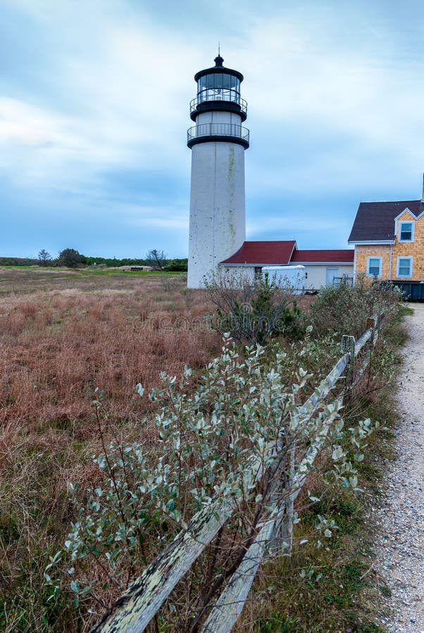 Cape Cod in November stock photo. Image of brown, branch - 103143664
