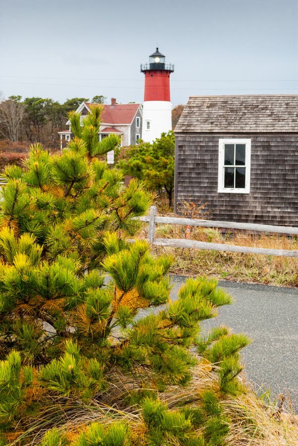 Cape Cod in November stock photo. Image of brown, branch - 103143664