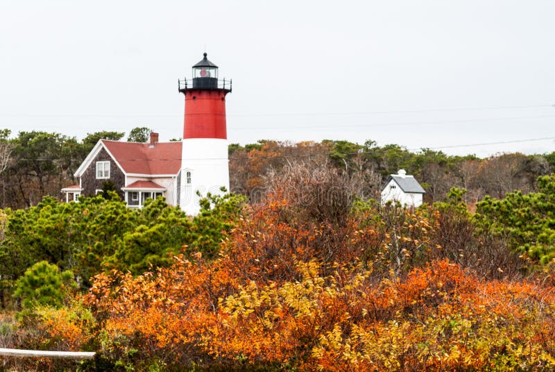 Cape Cod in November stock photo. Image of brown, branch - 103143664