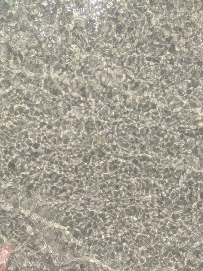 Cape Cod Ripples stock photo. Image of ripples, screen - 121663458