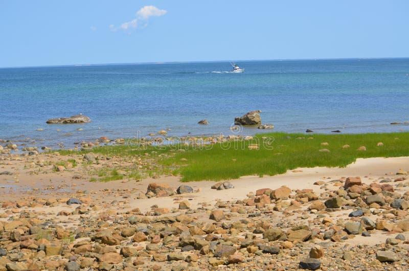 At Cape Cod at a Rock Beach Stock Image - Image of summer, grasses ...