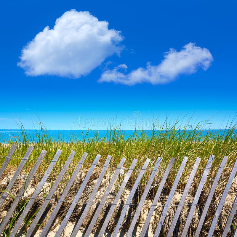 Cape Cod Sandy Neck Beach Massachusetts US Stock Image - Image of neck ...