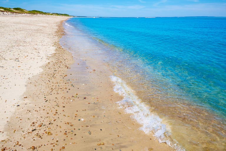Cape Cod Sandy Neck Beach Massachusetts US Stock Image - Image of shore ...