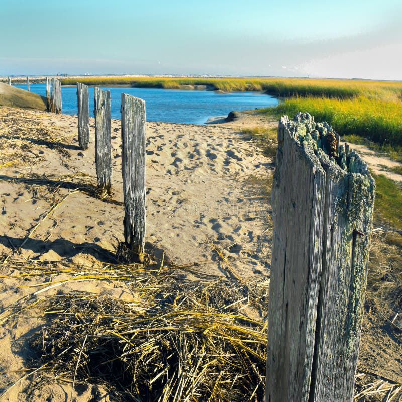 Massachusetts Wetland Panorama Stock Photo - Image of cape, panoramic ...