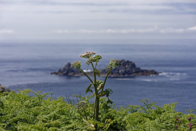 Cape Cornwall in St Just at Sunset Stock Photo - Image of horizontal ...