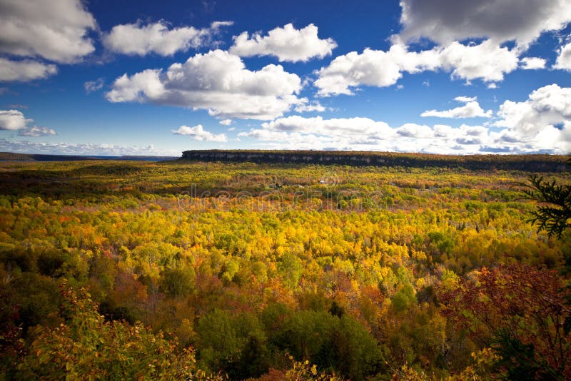 Cape Croker Cliff Autumn Fall Forest Trees Landscape Stock Photo ...