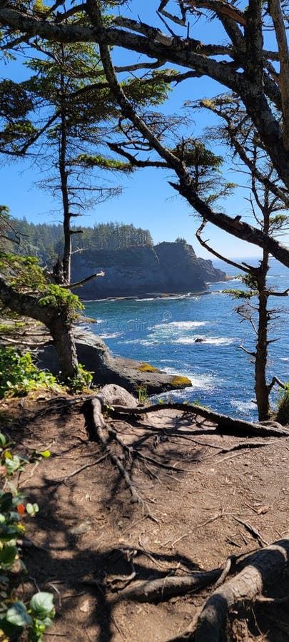 Cape Flattery Washington Northwesternmost Point in the Lower 48 Stock ...