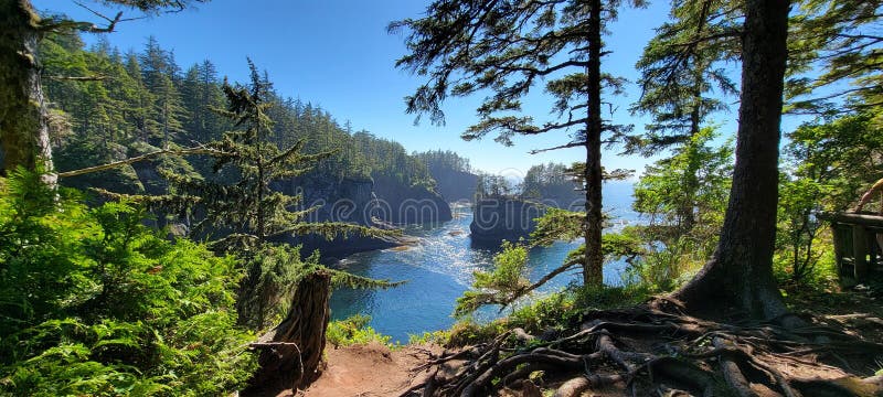 Cape Flattery Washington Northwesternmost Point in the Lower 48 Stock ...