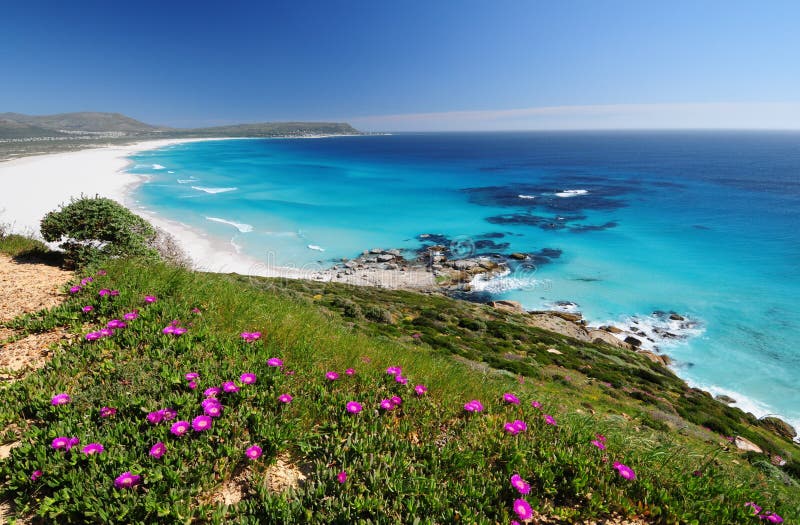 Cape floral vista stock image. Image of beach, atlantic - 6834963
