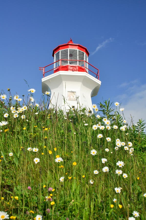 Cape Gaspe Lighthouse, Quebec Stock Image - Image of canada, daisy ...