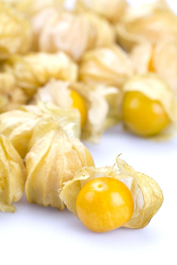 Cape Gooseberries stock photo. Image of orange, healthy - 66783402