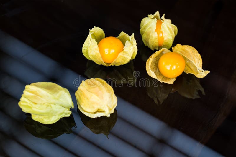 Cape gooseberry stock photo. Image of outermost, small - 80179552