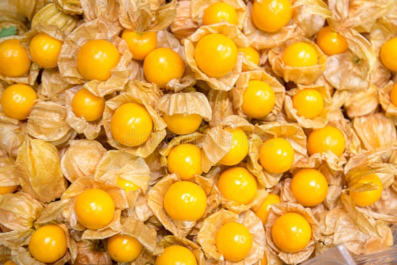 Cape Gooseberry Physalis ,healthy Fruit and Vegetable Stock Image ...