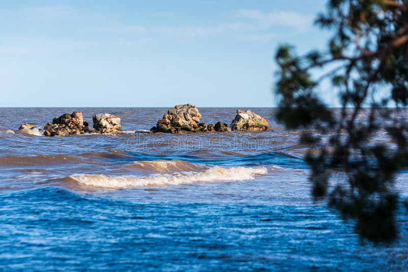 Cape Kolka with Stones in Water, Pine and Baltic Sea, Kolka, Latvia ...
