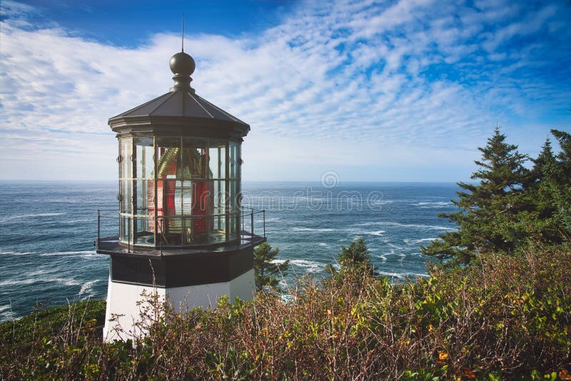 Oregon State Tree Cartoon Illustration Stock Photos - Free & Royalty ...