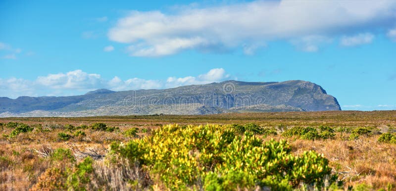 Cape Point National Park. the Wilderness of Cape Point National Park ...