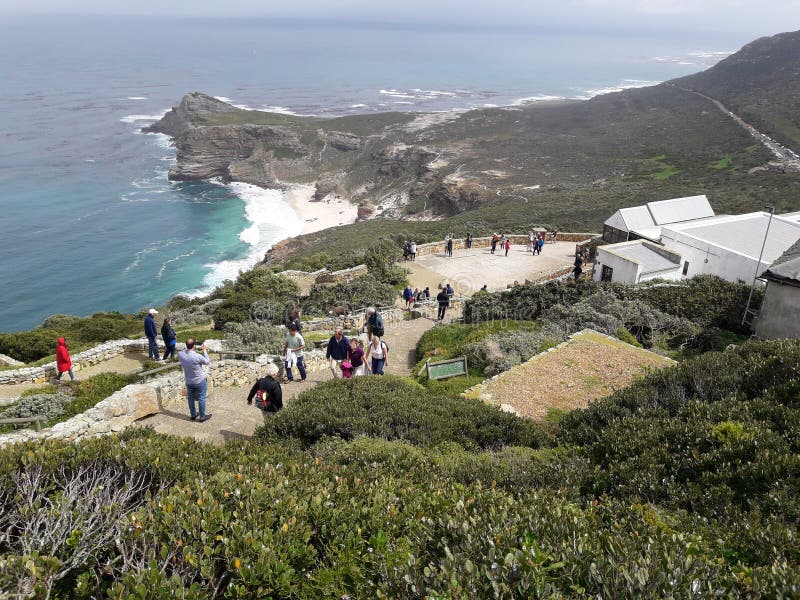 Cape point editorial photo. Image of cape, baboon, ocean - 83084466