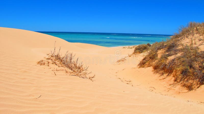 Short Point Beach in Australia Stock Photo - Image of holiday ...