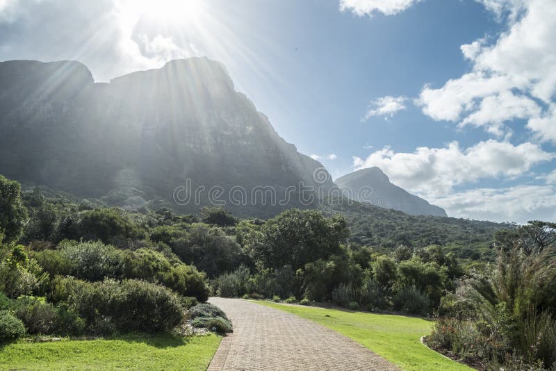 Cape town botanic garden stock image. Image of landscape - 87475335