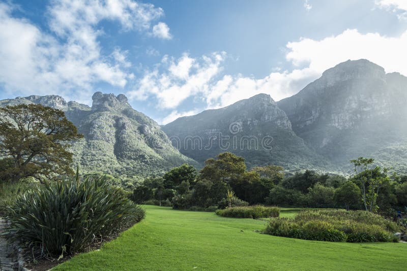 Cape town botanic garden stock photo. Image of rest, south - 87474152