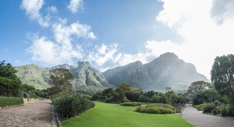 Cape town botanic garden stock photo. Image of rest, african - 87460350