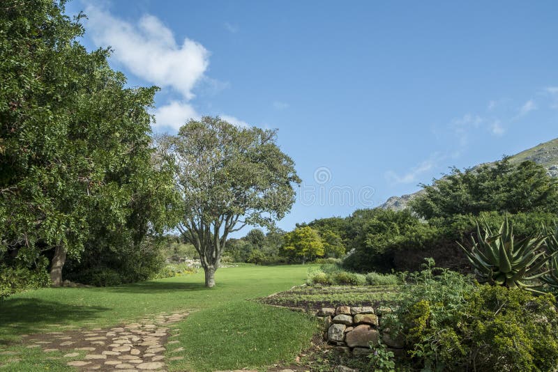 Cape town botanic garden stock photo. Image of people - 87461486