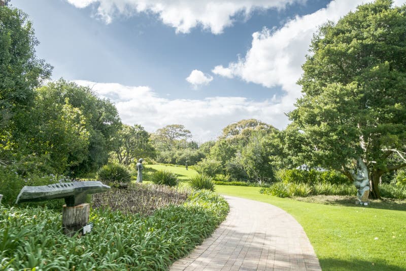 Cape town botanic garden stock image. Image of botanical - 87465915