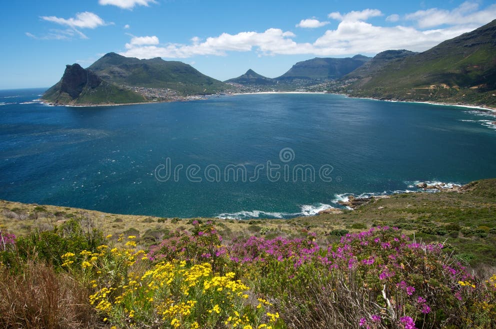 Cape Town Coastal Springtime Stock Image - Image of peninsula, cape ...