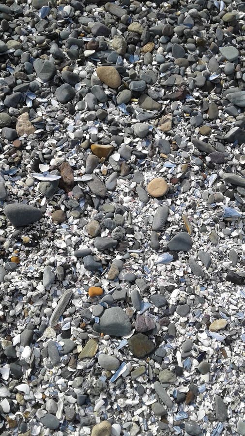Cape Town stock photo. Image of blouberg, shells, ocean - 78779196