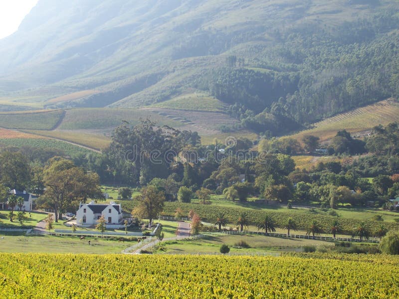 Premier Farms Logo Stock Photos - Free & Royalty-Free Stock Photos from ...