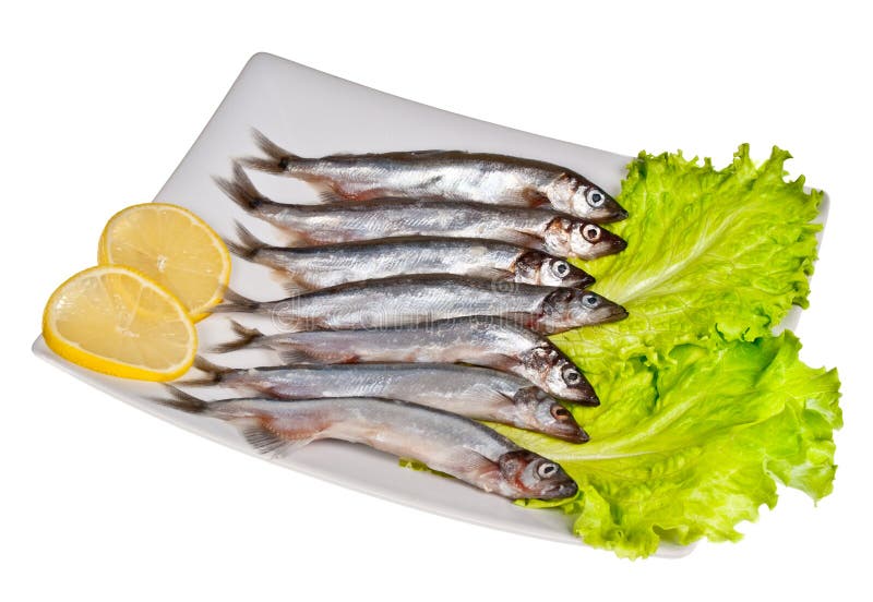 Capelan image stock. Image du poissons, seafood, isolement - 17746293