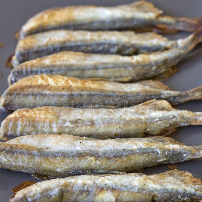 Capelan De Poisson Cru Sur La Table Photo stock - Image du phosphore ...