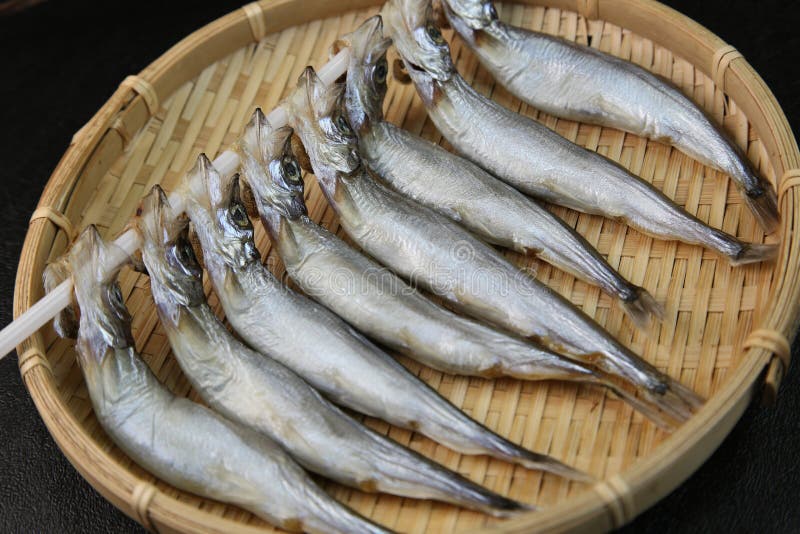 Capelin stock image. Image of fish, sisyamo, small, snack - 98910875