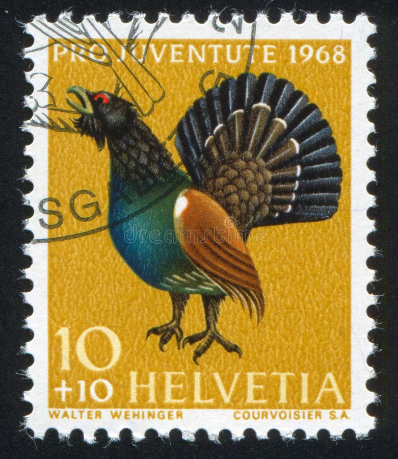 Capercaillie editorial photo. Image of antique, cover - 238856966