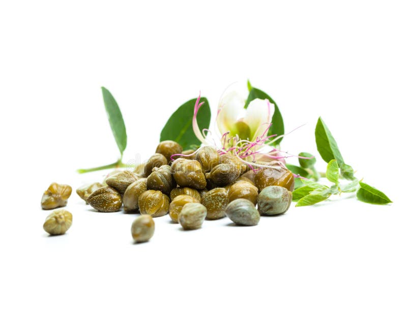 Capers with Green Leaves and Flower Stock Image - Image of gourmet ...