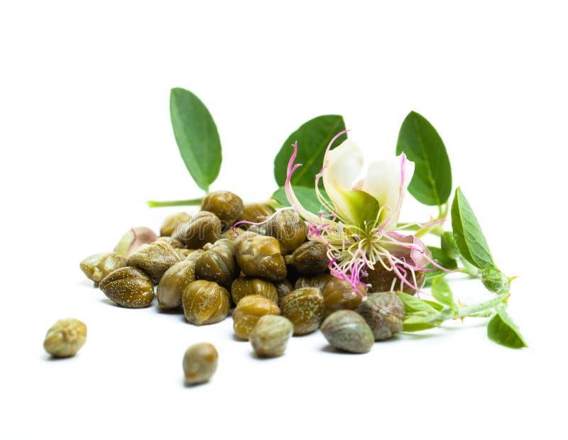 Capers, Green Leaves and Flower on White Background Stock Image - Image ...