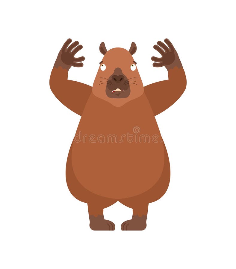 Capibara Confundido. Roedor Perplejo Ilustración del Vector ...