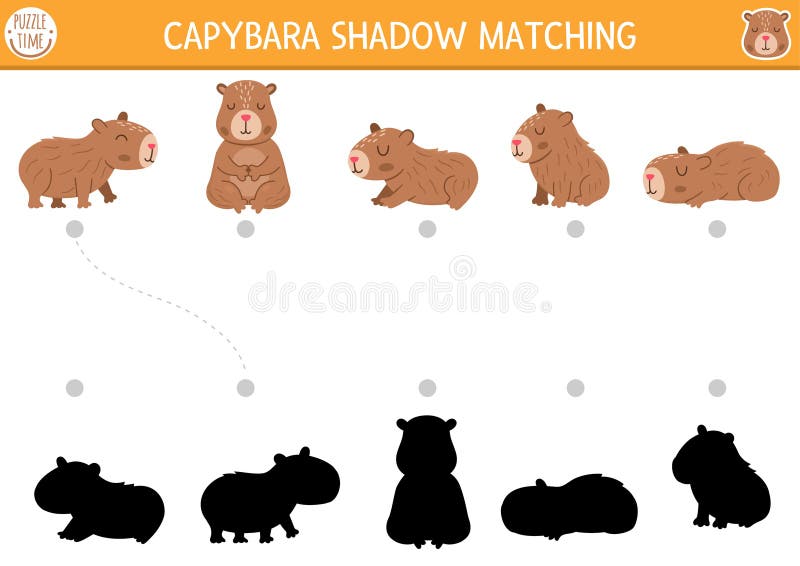 Capibara Shadow Matching Activity. Capybara Shape Recognition Puzzle ...