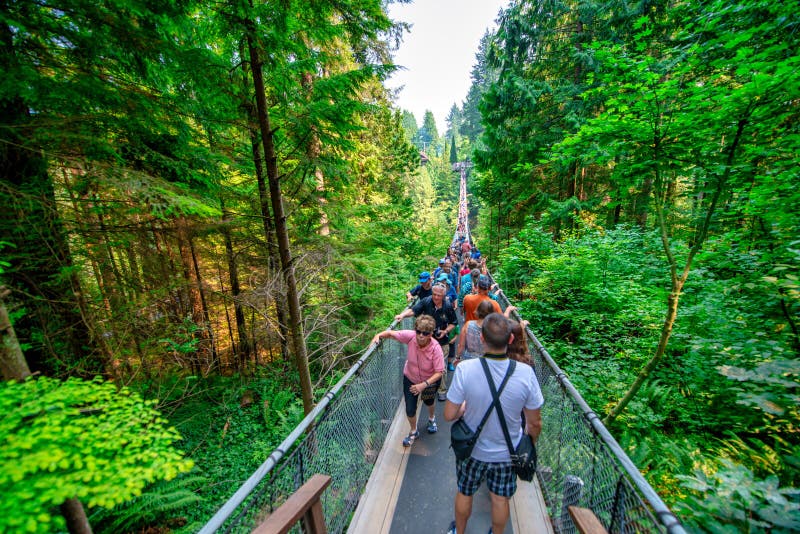 Capilano Bridge Park on a Sunny Summer Day, North Vancouver, Canada ...