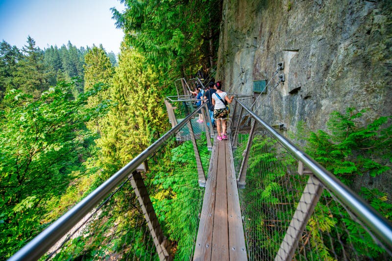 Capilano Bridge Park on a Sunny Summer Day, North Vancouver, Canada ...