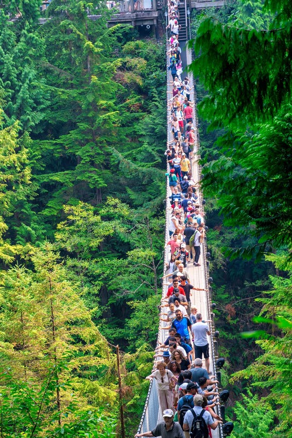 Capilano Bridge Park on a Sunny Summer Day, North Vancouver, Canada ...