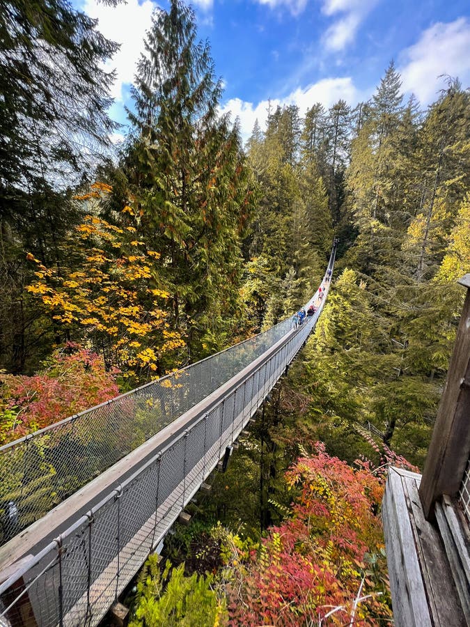 Capilano Suspension Bridge in the Autumn Stock Image - Image of blue ...