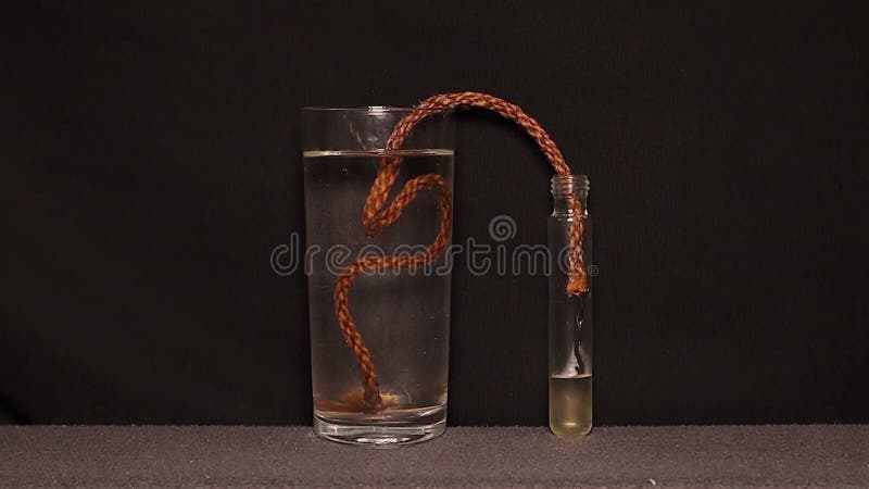 Capillary Action: Water Transfer from Glass To Test Tube Via Linen ...